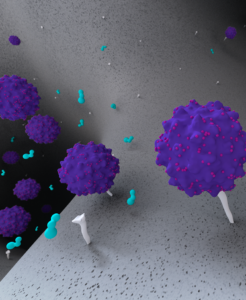 AAV Purification Solutions | Non-Affinity Chromatography - Sartorius ...