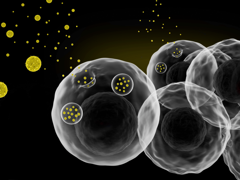Exosome Purification | High Yield & Purity with Monoliths - Sartorius ...