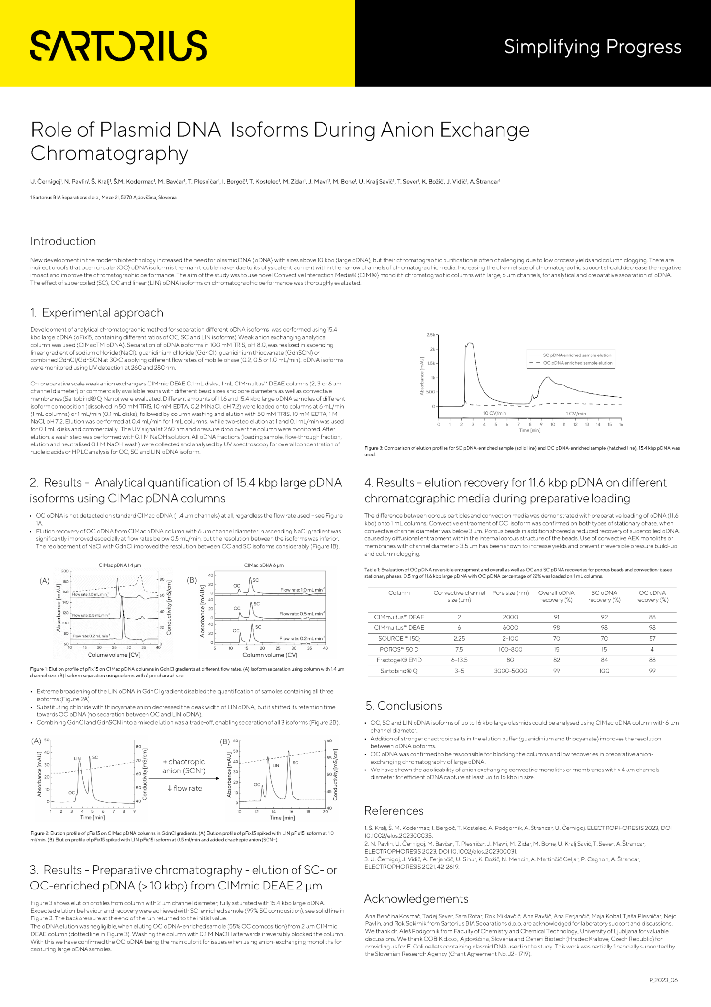 Role of Plasmid DNA Isoforms During Anion Exchange Chromatography ...