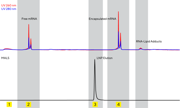 LNP Purification & Analytics | Integrated Bioprocess Solutions ...
