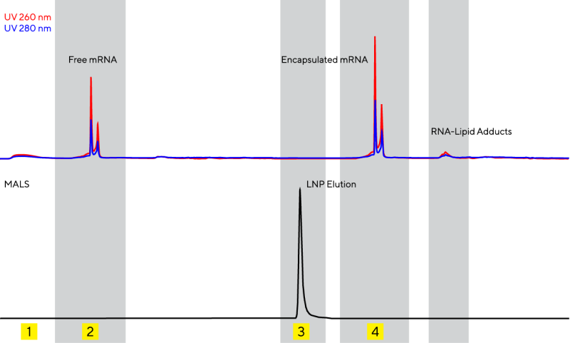 LNP Process Analytics Services - Sartorius BIA Separations