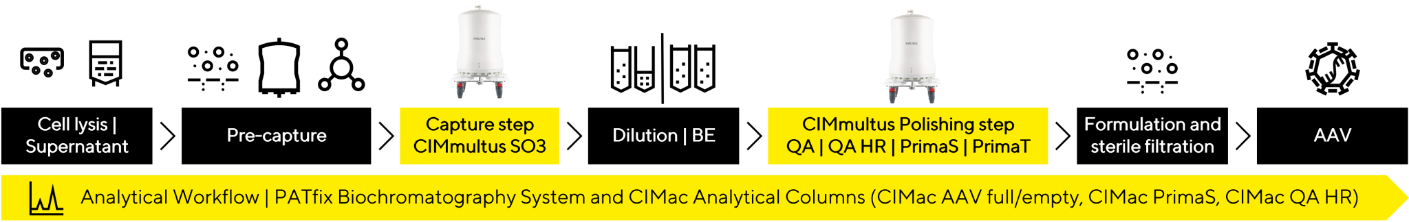 AAV Purification Solutions | Non-Affinity Chromatography - Sartorius ...