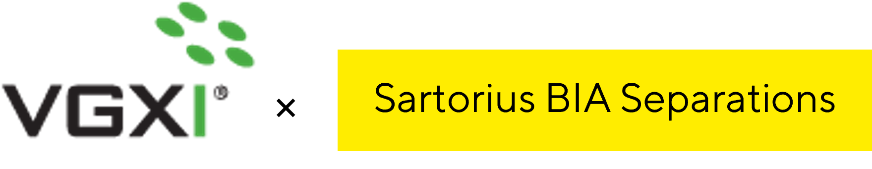 Plasmid DNA Purification Process | VGXI Case Study - Sartorius BIA ...